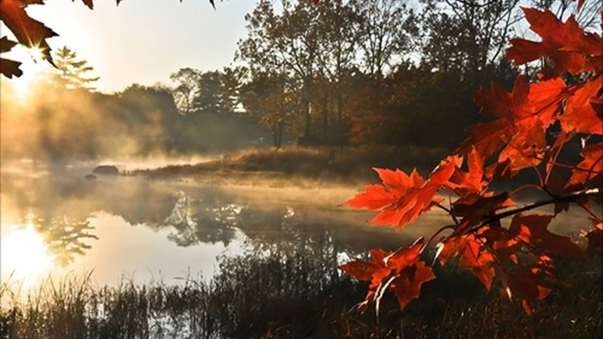 ОСЕНЬ. Отполыхало. (муз. Нежность, плейлист «Осень. Просто осень. Гитара Francis Goya»)