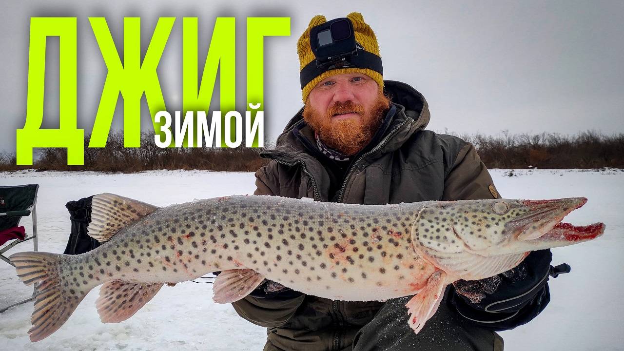 щука атакует 25см джиг | зимний джиг
