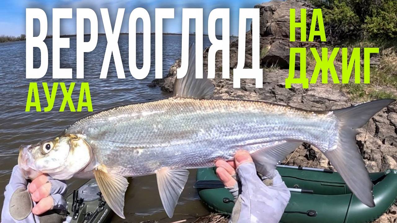 Верхогляд и ауха на джиг | рыбалка на каяке