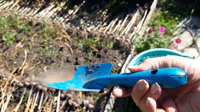 Лопатка из СССР! Выбросила дорогую импортную и работаю только этой! Как выбрать лопатку для сада