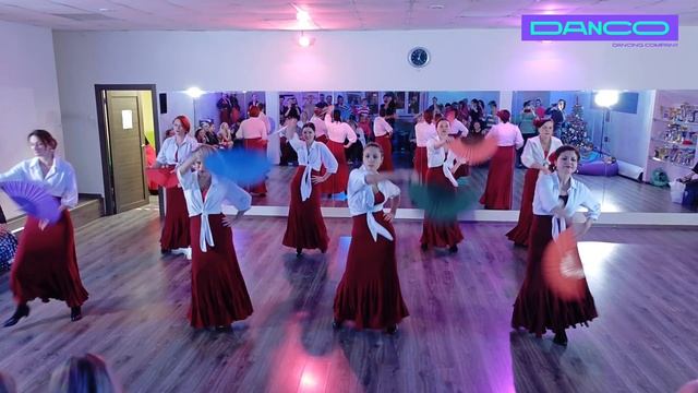 Новогодние огни Danco 2024