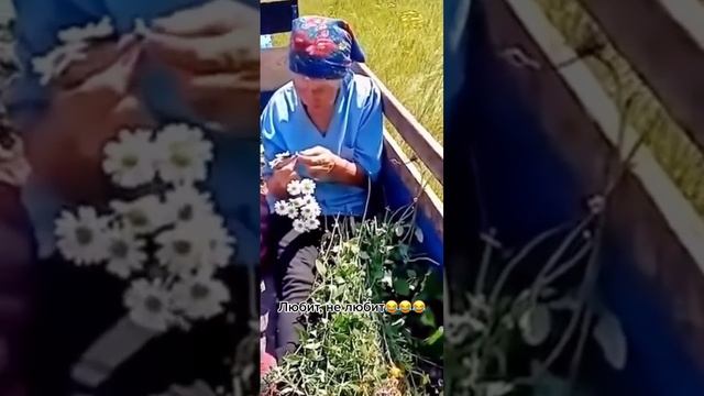 гадание на ромашке