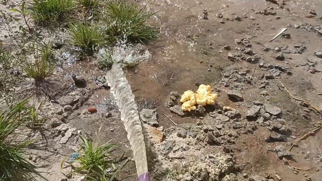 Абиссинская скважина в доме ( 14.08) щелковскй Район