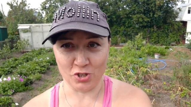 Спасли птенца, срубили яблоню, вырезали малину! Саша в грусти и печали