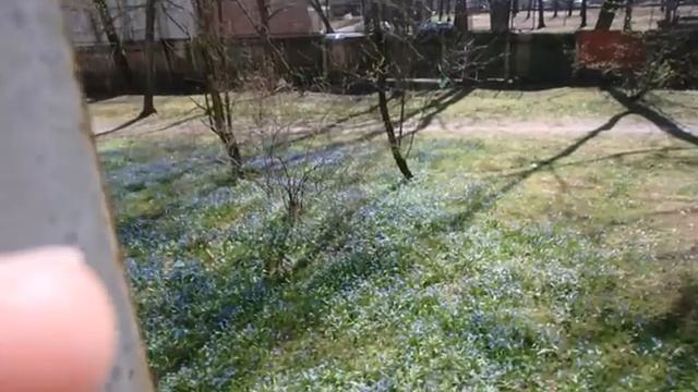 влог - успеть сделать всё и немножко ещё.(часть 2)