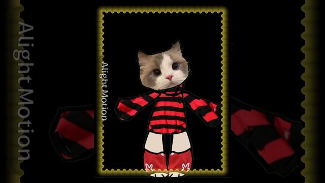 анимация кошки "танец" 
ОПИСАНИЕ