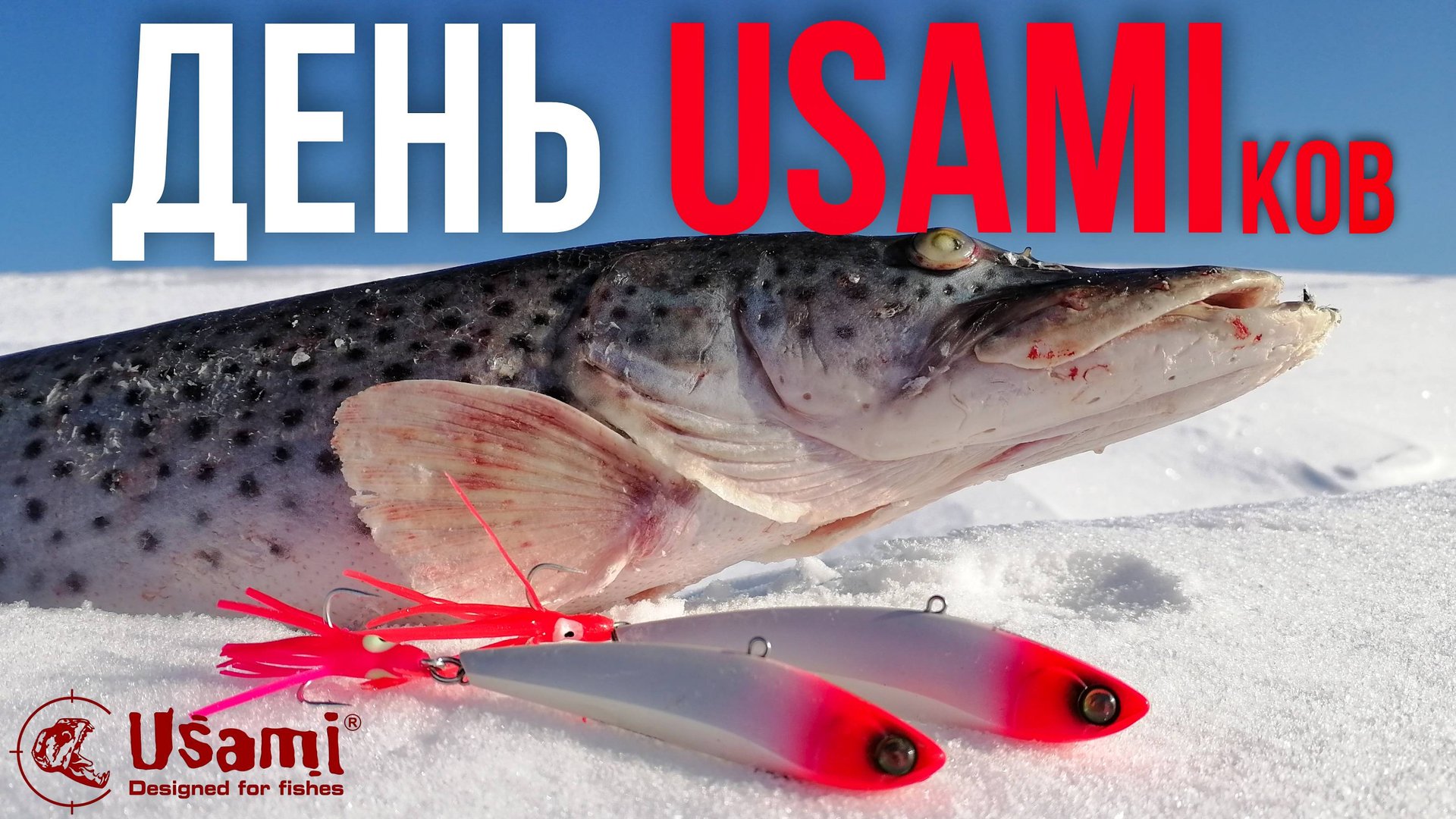 Жадные поклевки щуки на ратлины Usami