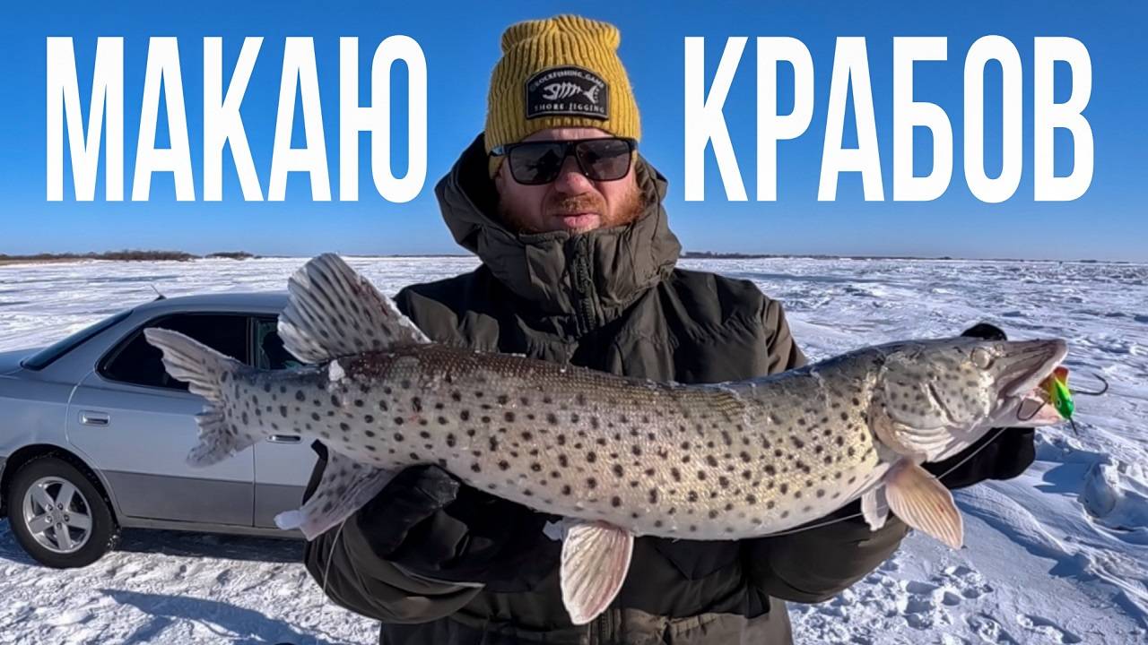 Зимняя щука на крабы