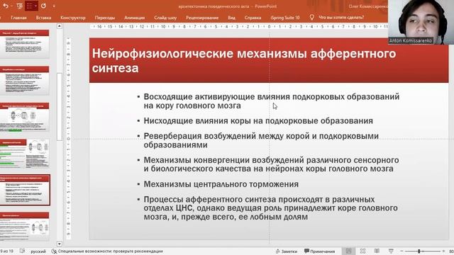 Системная архитектоника целенаправленного поведенческого акта
