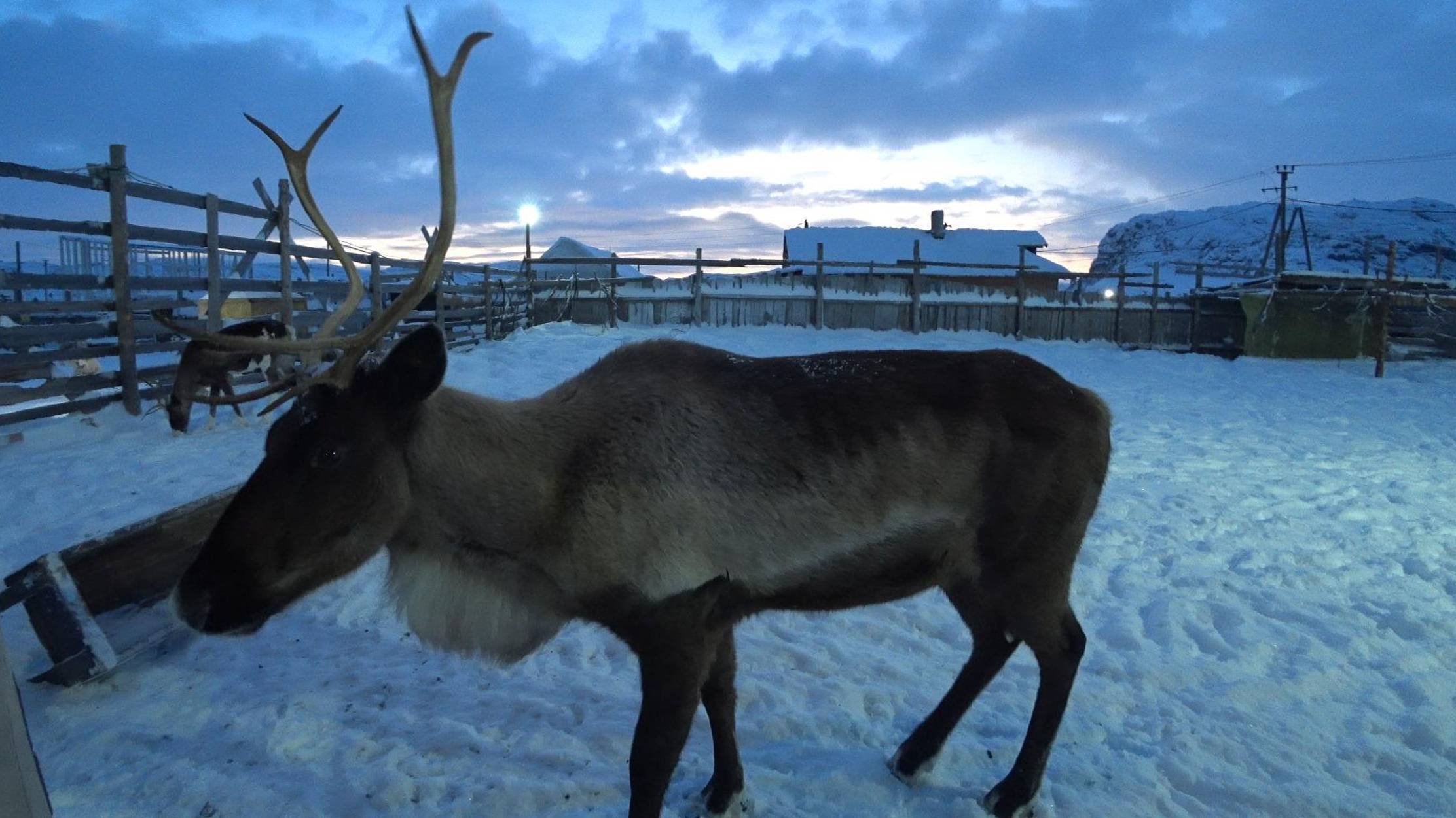 Выходной длинною в два часа.
