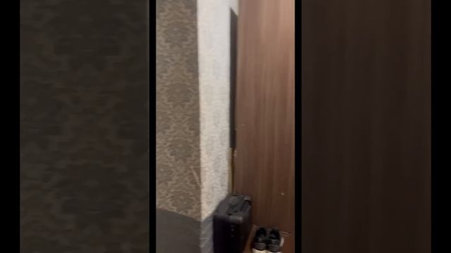 2-к. квартира, 48,8 кв.м., 1/17 эт.