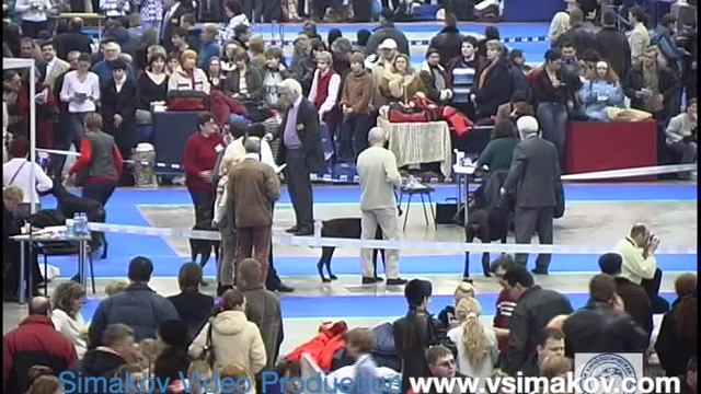 Российская Кинологическая Федерация приглашает гостей на шоу "Евразия" 2006