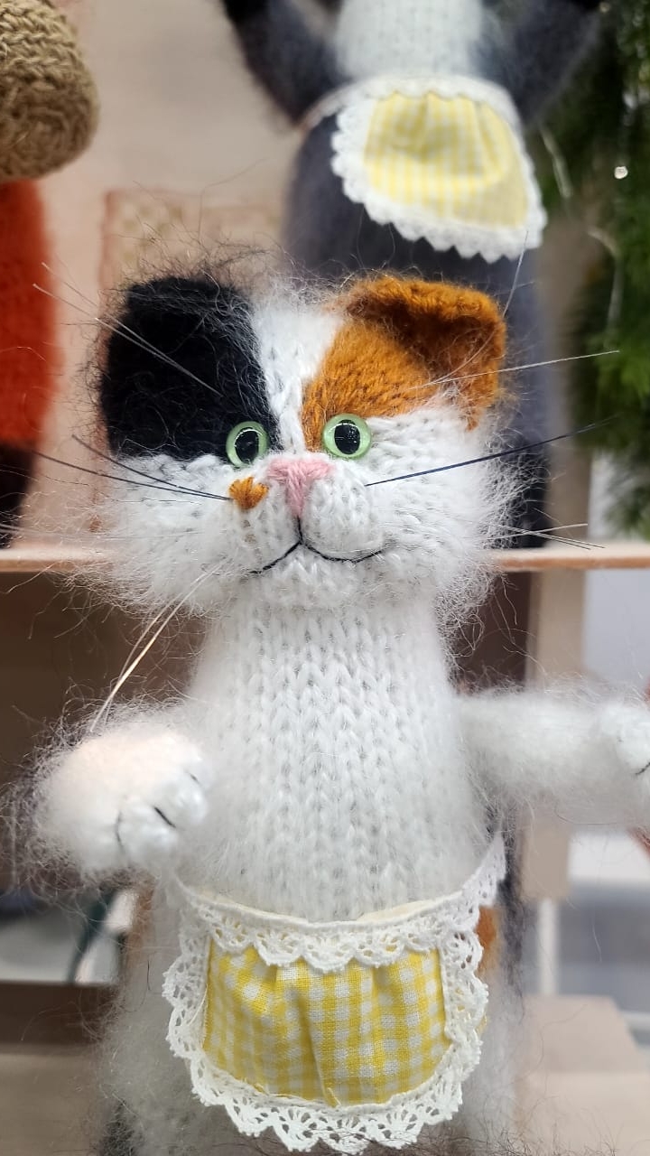 Смешные котики #shorts #кот #животные #смех