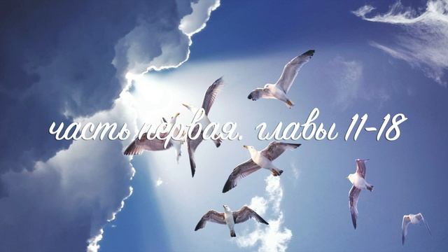 02. Птицы Небесные. Симеон Афонский