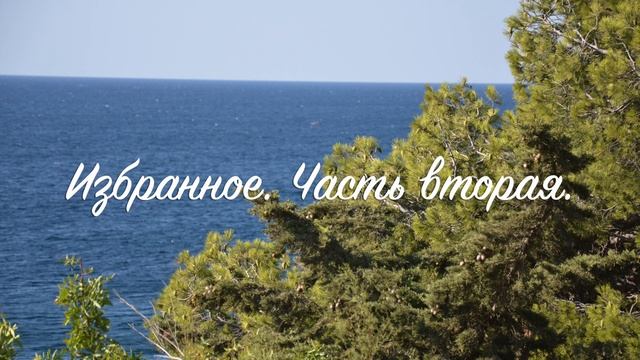 02. Избранное