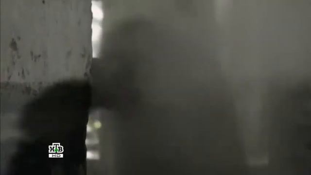 126)Ленинград 46