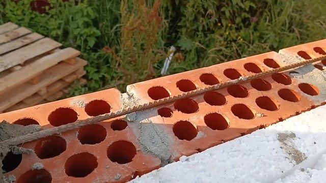 28 июня 2024 г.