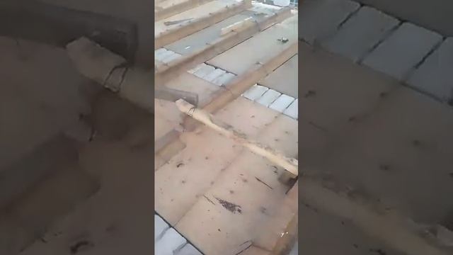 8 августа 2024 г.