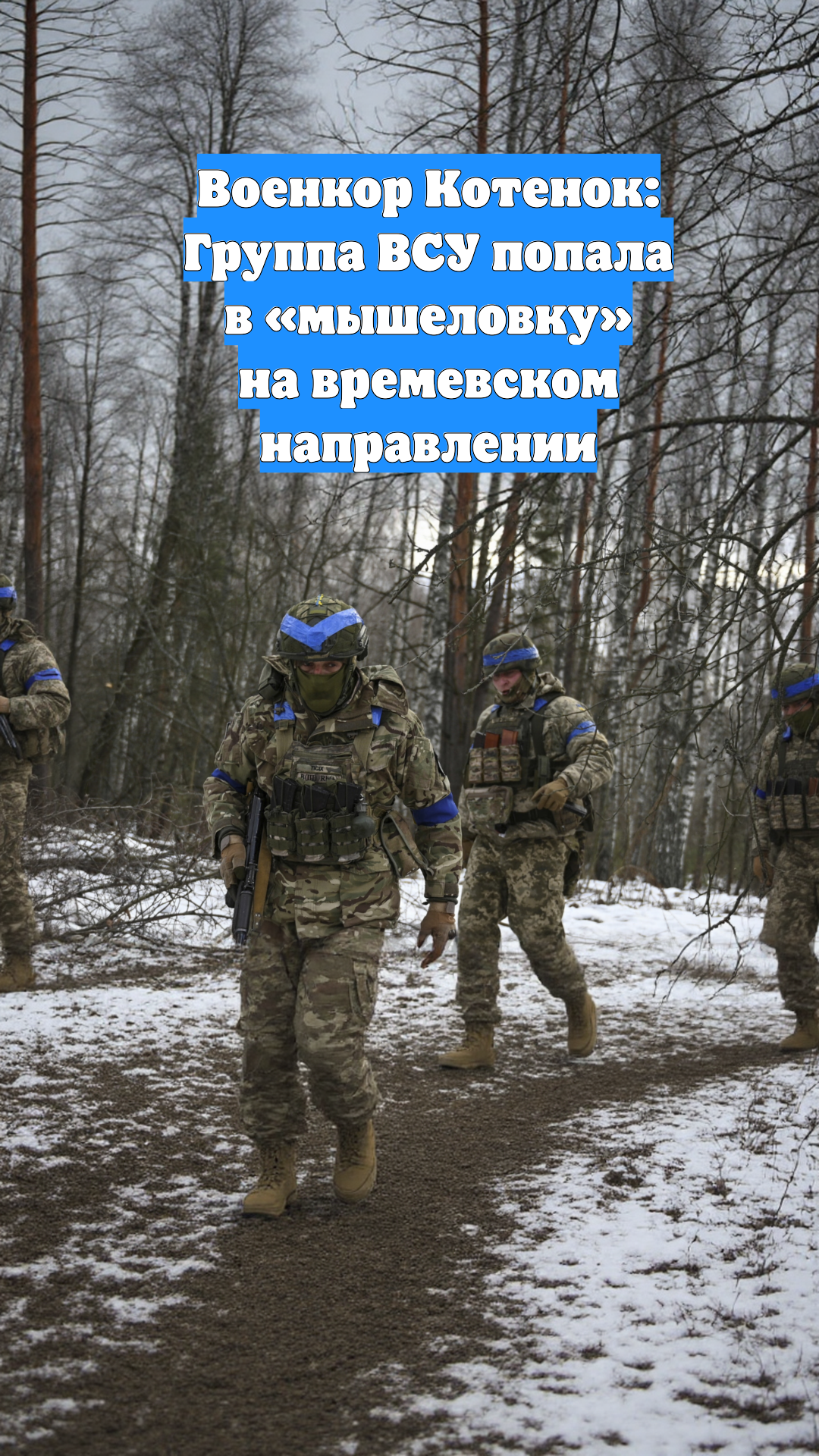 Военкор Котенок: Группа ВСУ попала в «мышеловку» на времевском направлении
