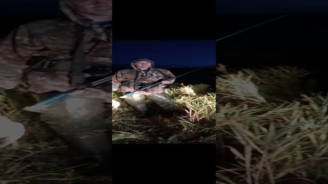 12.09.2022 Добыча утки, с арни.