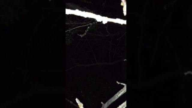 На прогулке в жутком месте.