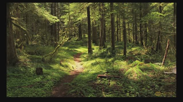 Создание презентации с анимацией и звуком в LibreOfiice Impress