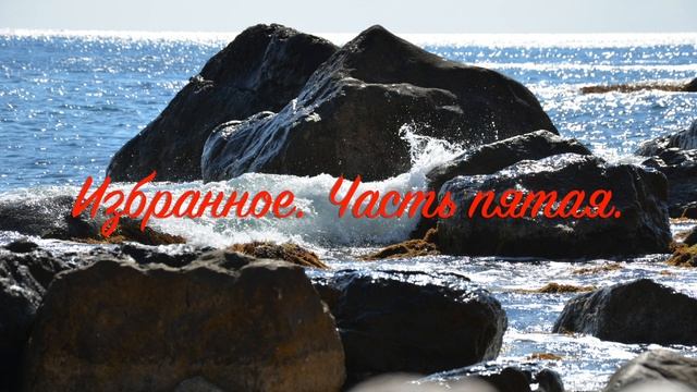 05. Избранное.