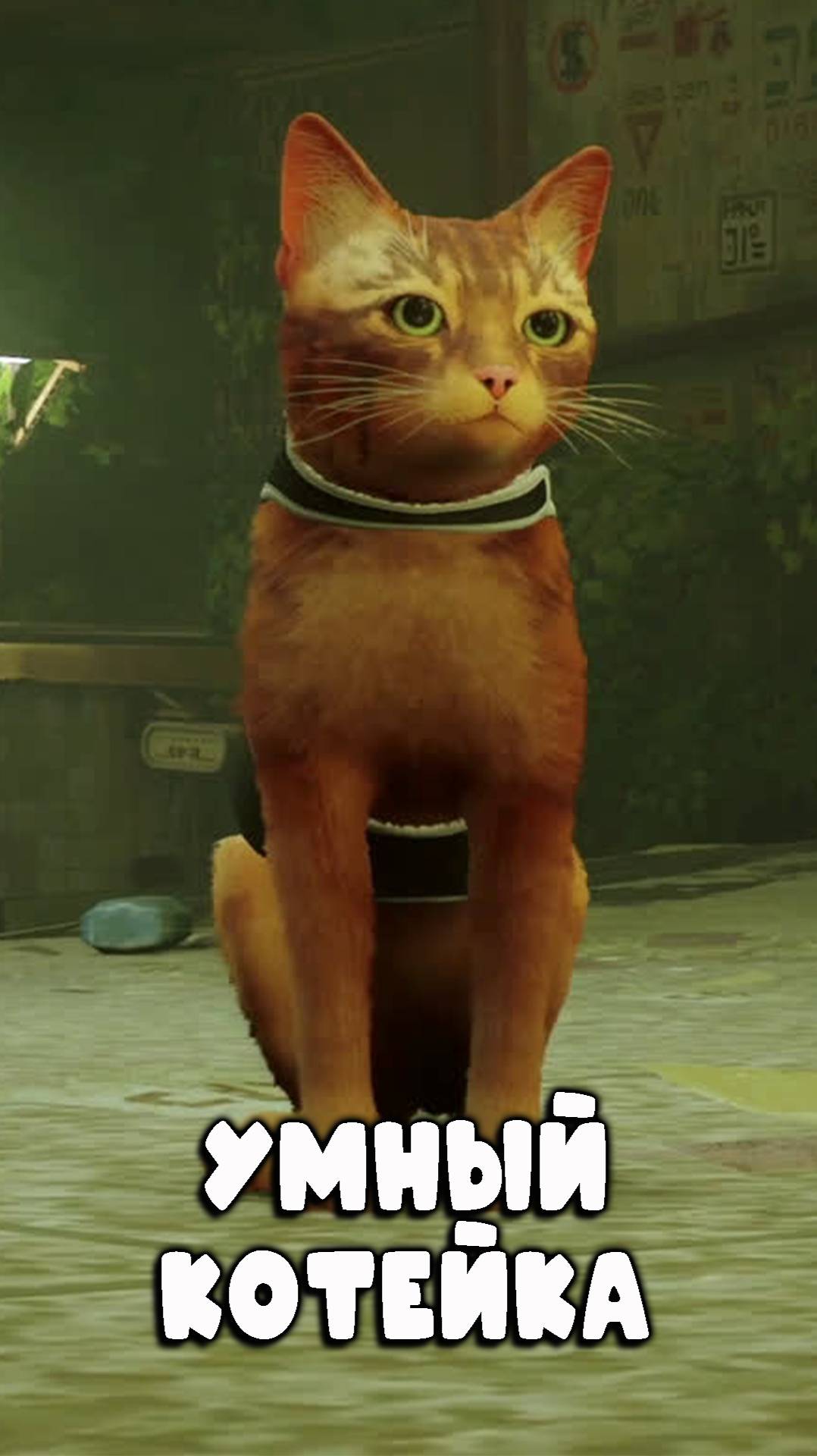 КОТ научился ПЕЧАТАТЬ