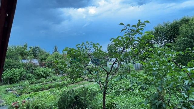 День 3 отпуска на даче. Первая ночёвка мужа. Вот такая хреновая погода! Но мы не сдаемся!