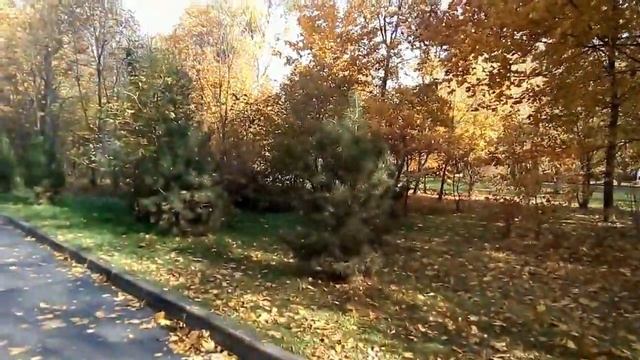 Парк Сокольники Осень 2019