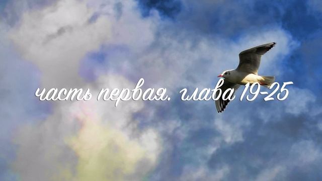 03. Птицы Небесные. Симеон Афонский.