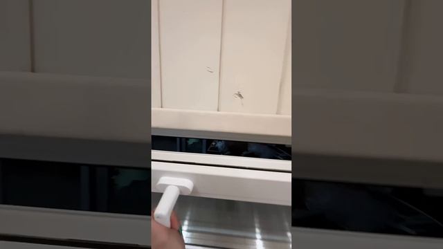 Обзор стандартного дома из 40-футового контейнера