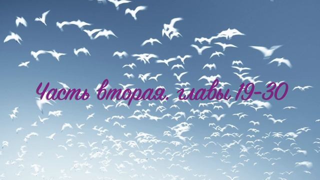 08. Птицы Небесные. Симеон Афонский.