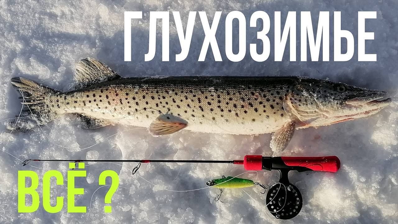 Глухозимье на Амуре или неудачный день ?