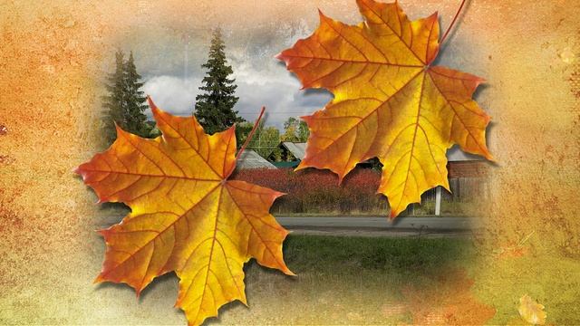 Прогулка в Мишкинскую осень