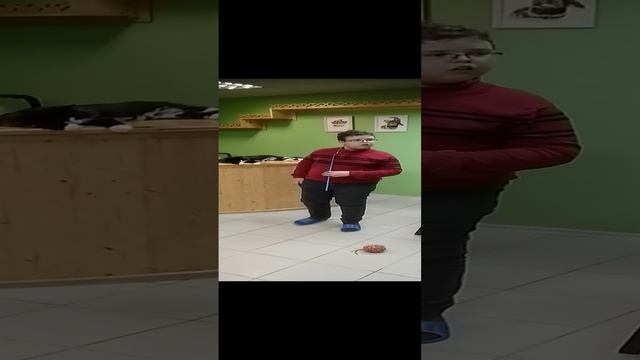 Настя и ребята в "кошатне" 2018-10-06 19-19-07