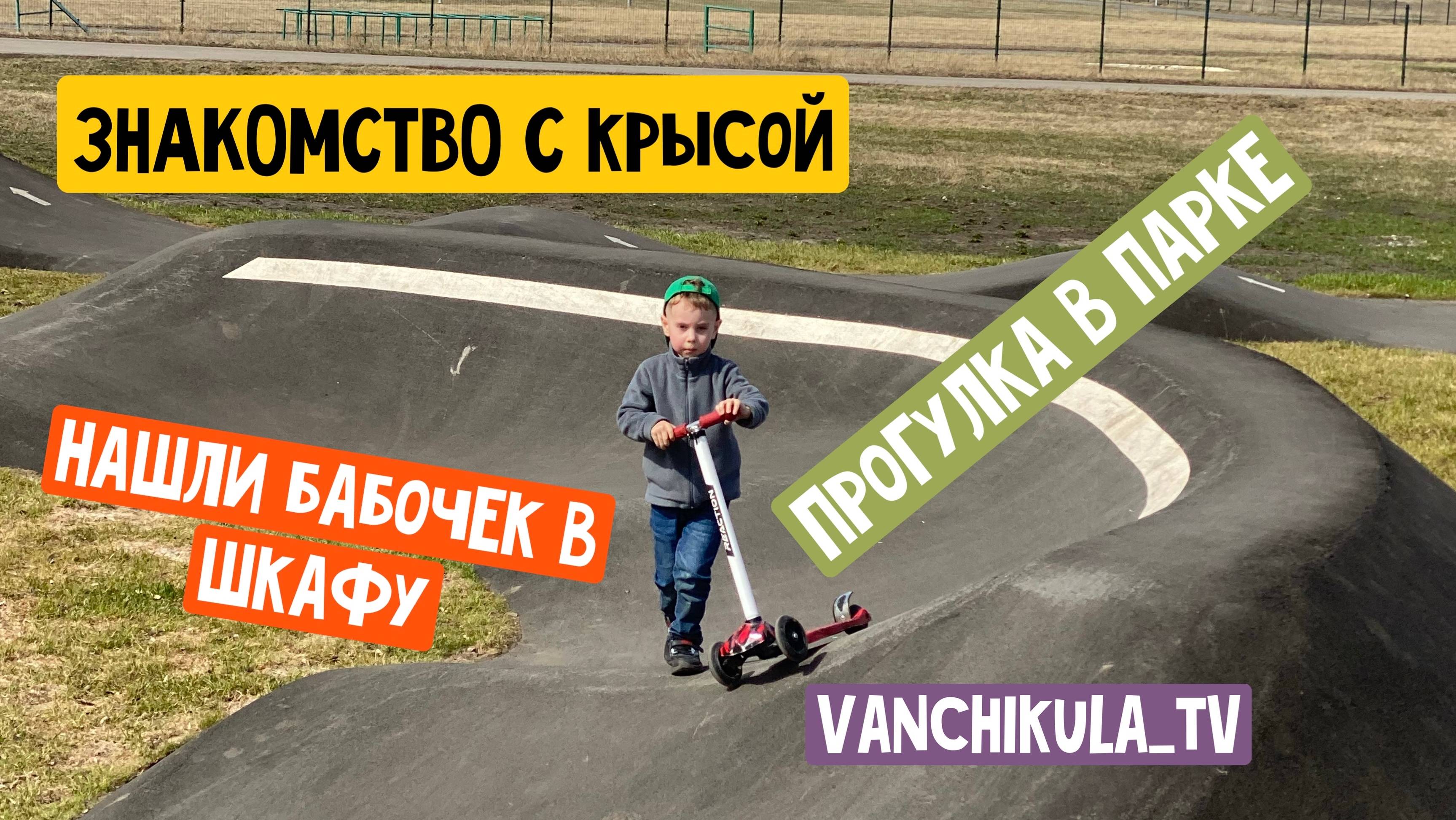КРЫСА ГАСТОН. НАШЛИ БАБОЧЕК В ШКАФУ. ПРОГУЛКА