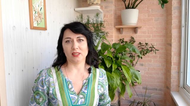 Quisisana 3* Отель в Римини. Полный и лучший обзор. Номера, Питание, советы / Куисисанна Римини