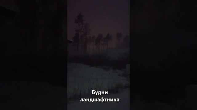 #ландшафтныйдизайн #строительство