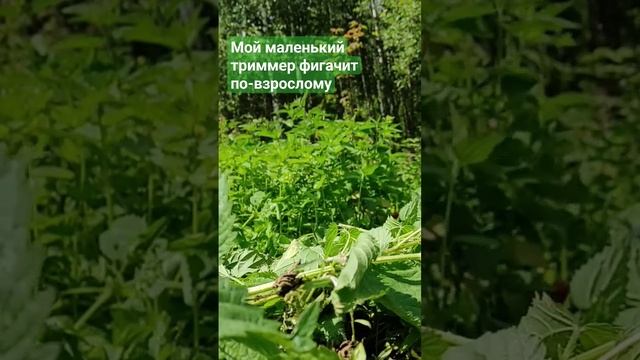 Аккумуляторный малыш работает по-взрослому.