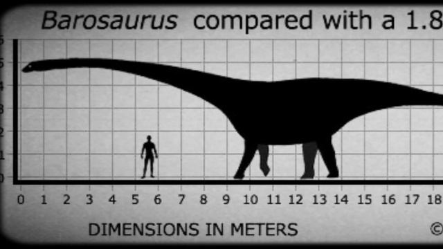Интересный рассказ про динозавра Барозавр