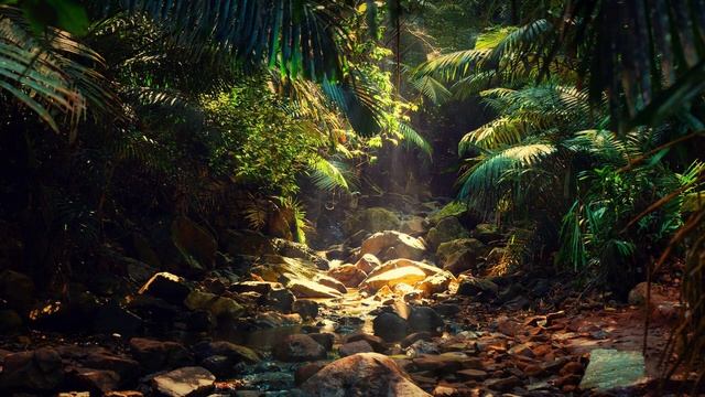 Звук Птиц в Джунглях. Звуки Дикой Природы. Пение Экзотических Птиц. Звуки Джунглей