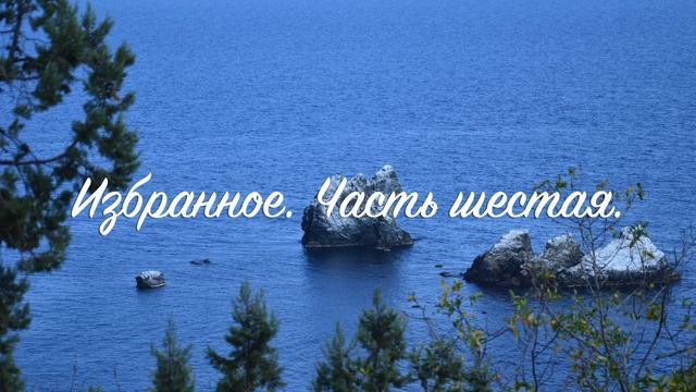 06. Избранное