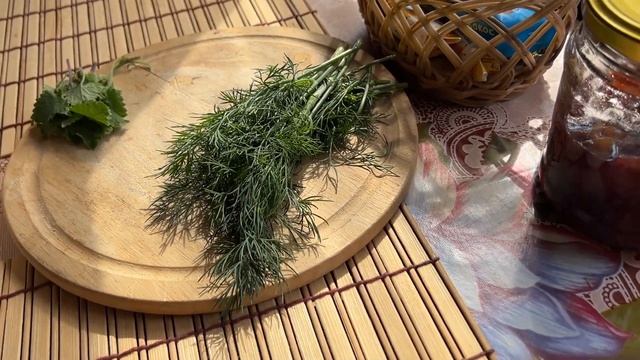 День 1 отпуска на даче. Обзор дома, бани и туалета