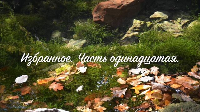 11. Избранное.