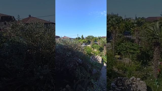 Гумиста. Абхазия.  Сухум. Доброе утро.