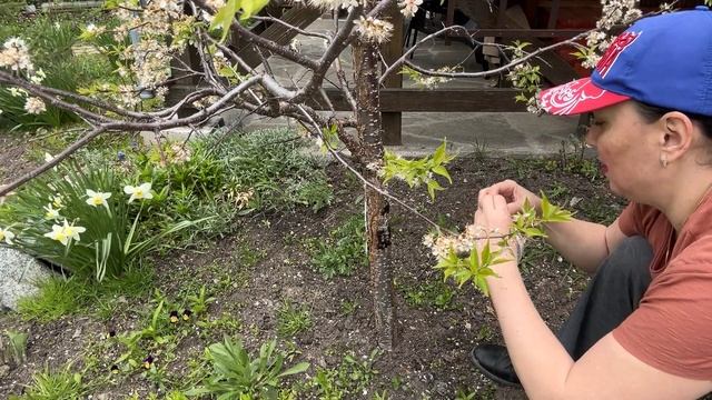 Без мужа на дачу еду одна. Что случилось с Александром?