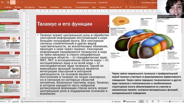 Функции спинного, продолговатого и среднего мозга, коры, ретикулярной формации, лимбической системы