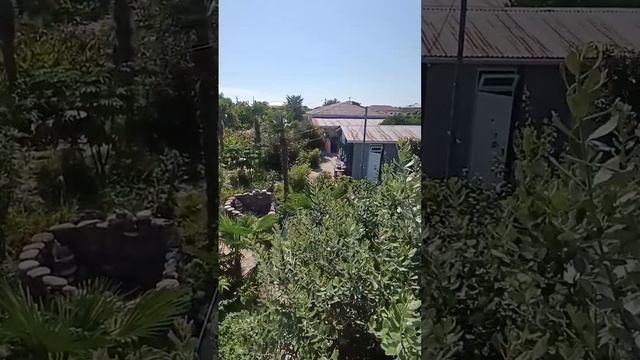 Абхазия. Гумиста. Добрый день.