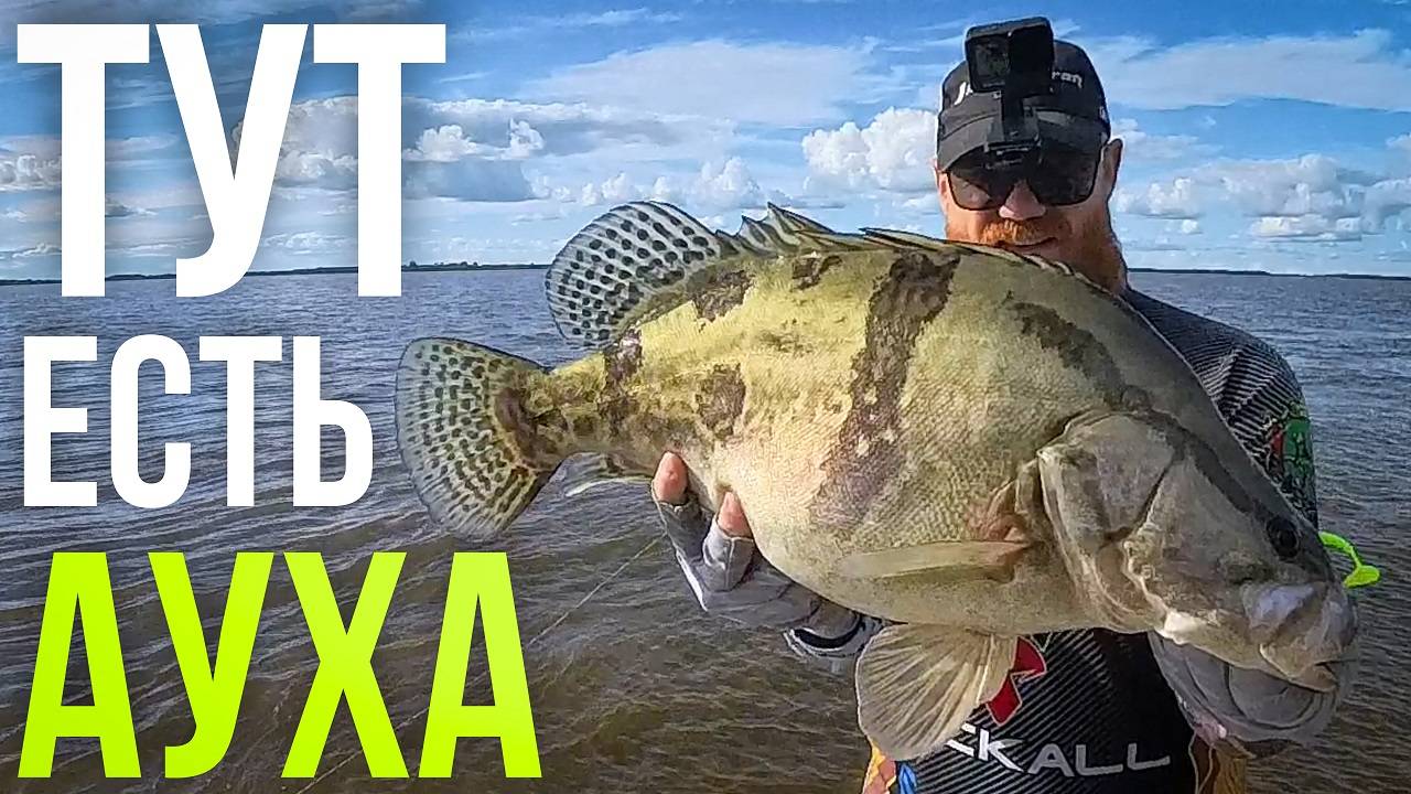 нашли РЫБНОЕ место | поисковая рыбалка